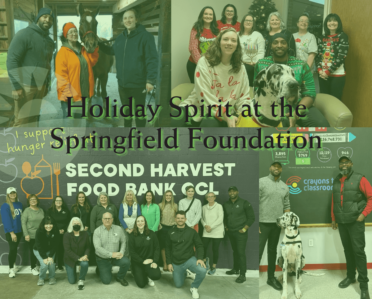 The Springfield Foundation