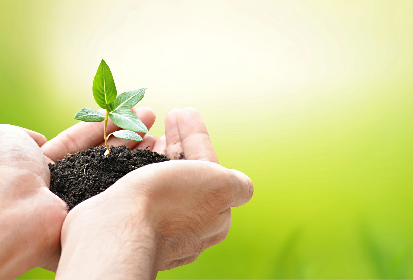 Fremont Area Community Foundation | Nebraska | Give | Grants | Scholarships
