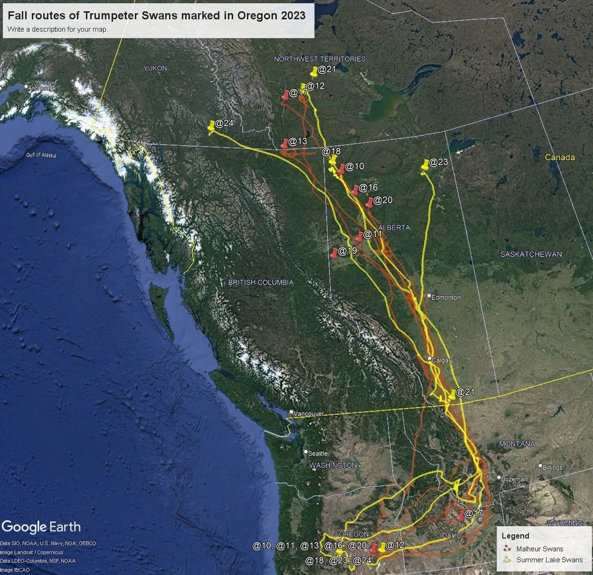 Tracking Swans |Trumpeter Swan Society