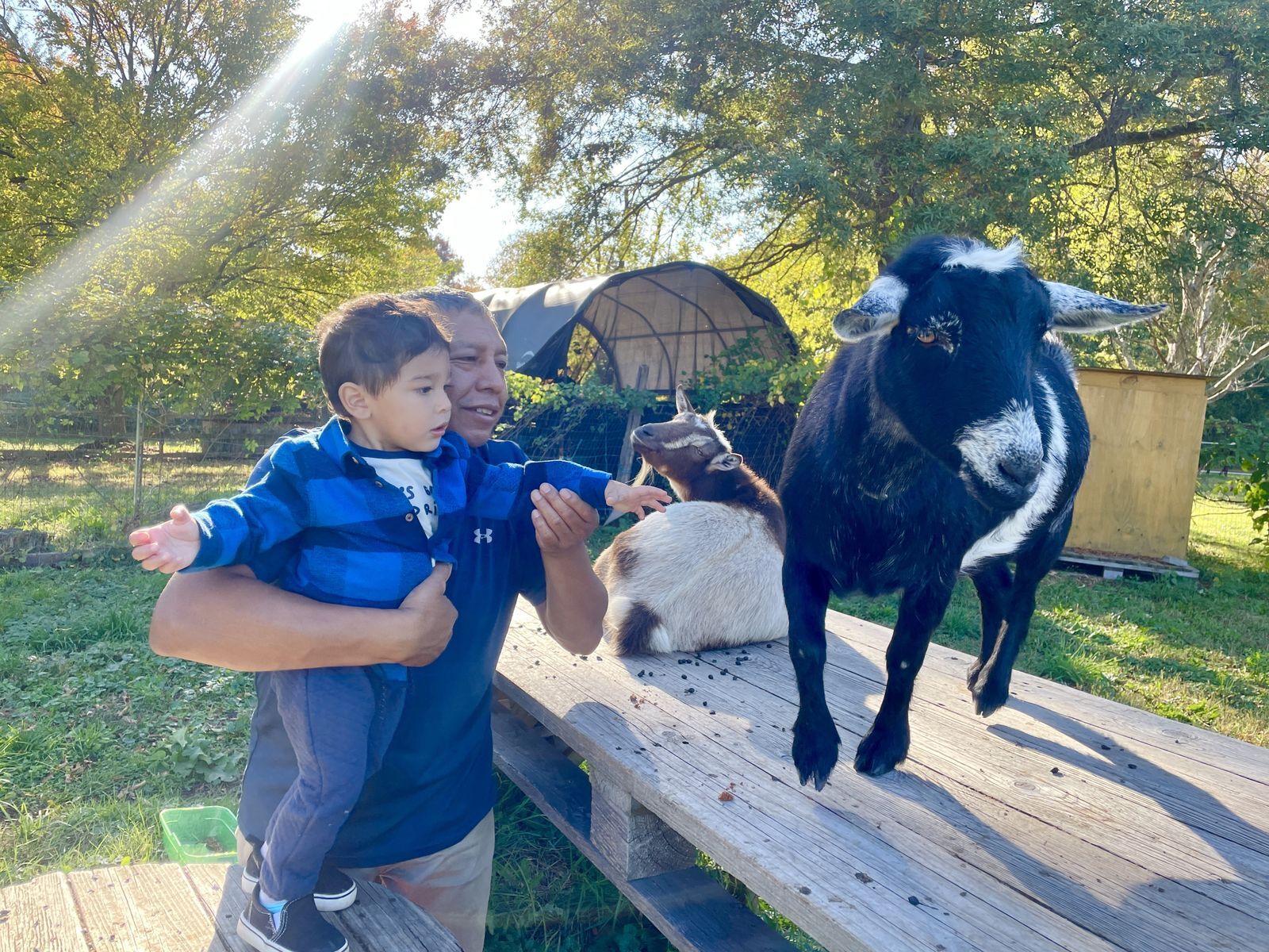 Snipes Farm and Education Center Home