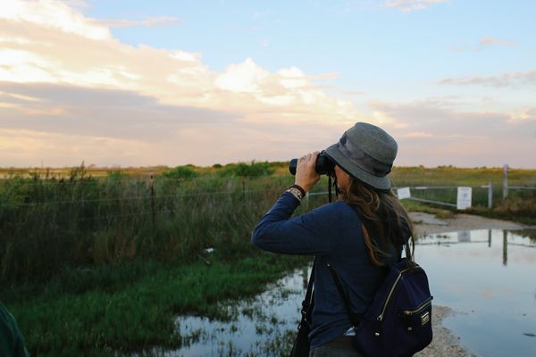 Bird Week | Programs | Houston Audubon