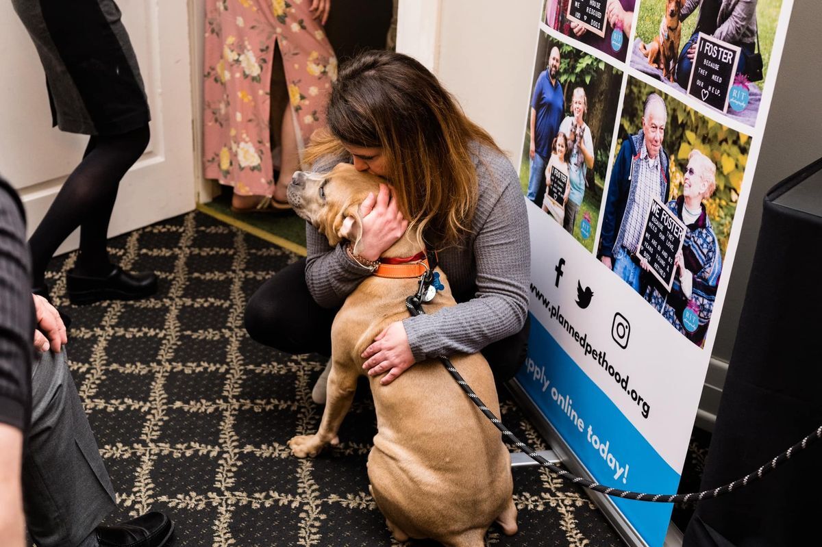 Home : Planned Pethood, Inc.