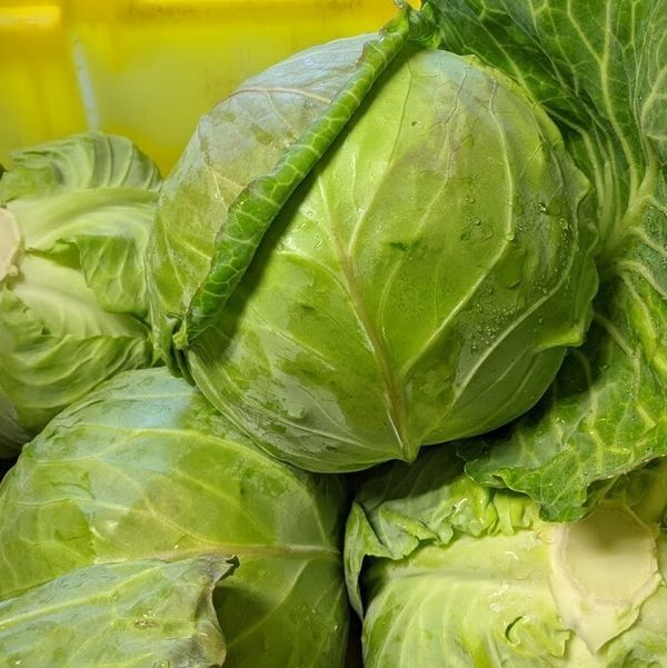 Farm Stand : Visit : The Friends of Hilltop Hanover Farm