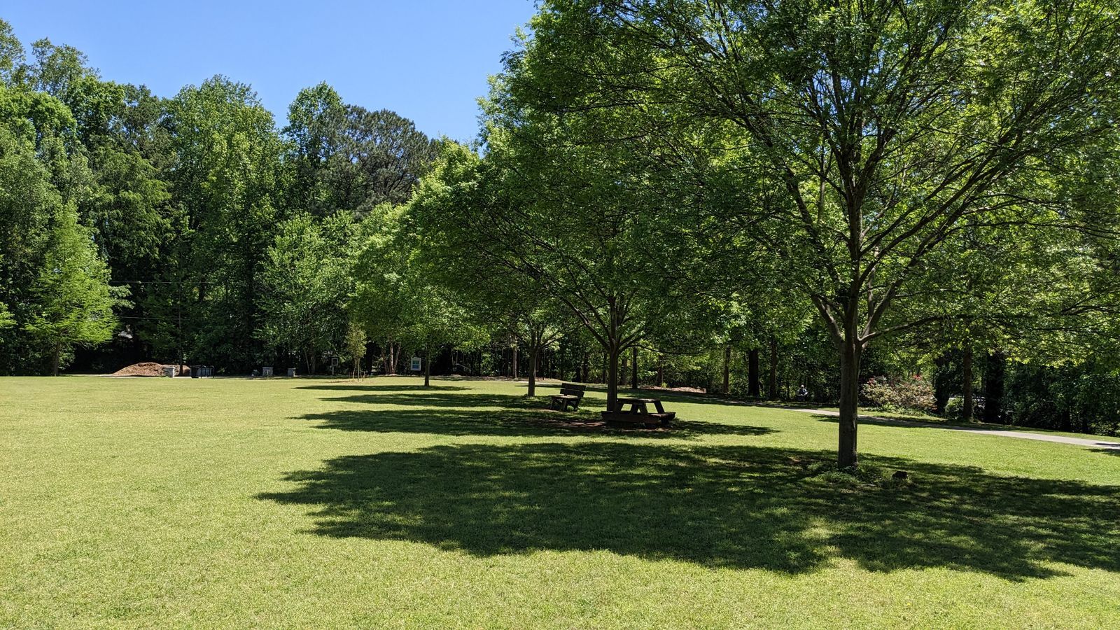 Home : Georgia Tree Council