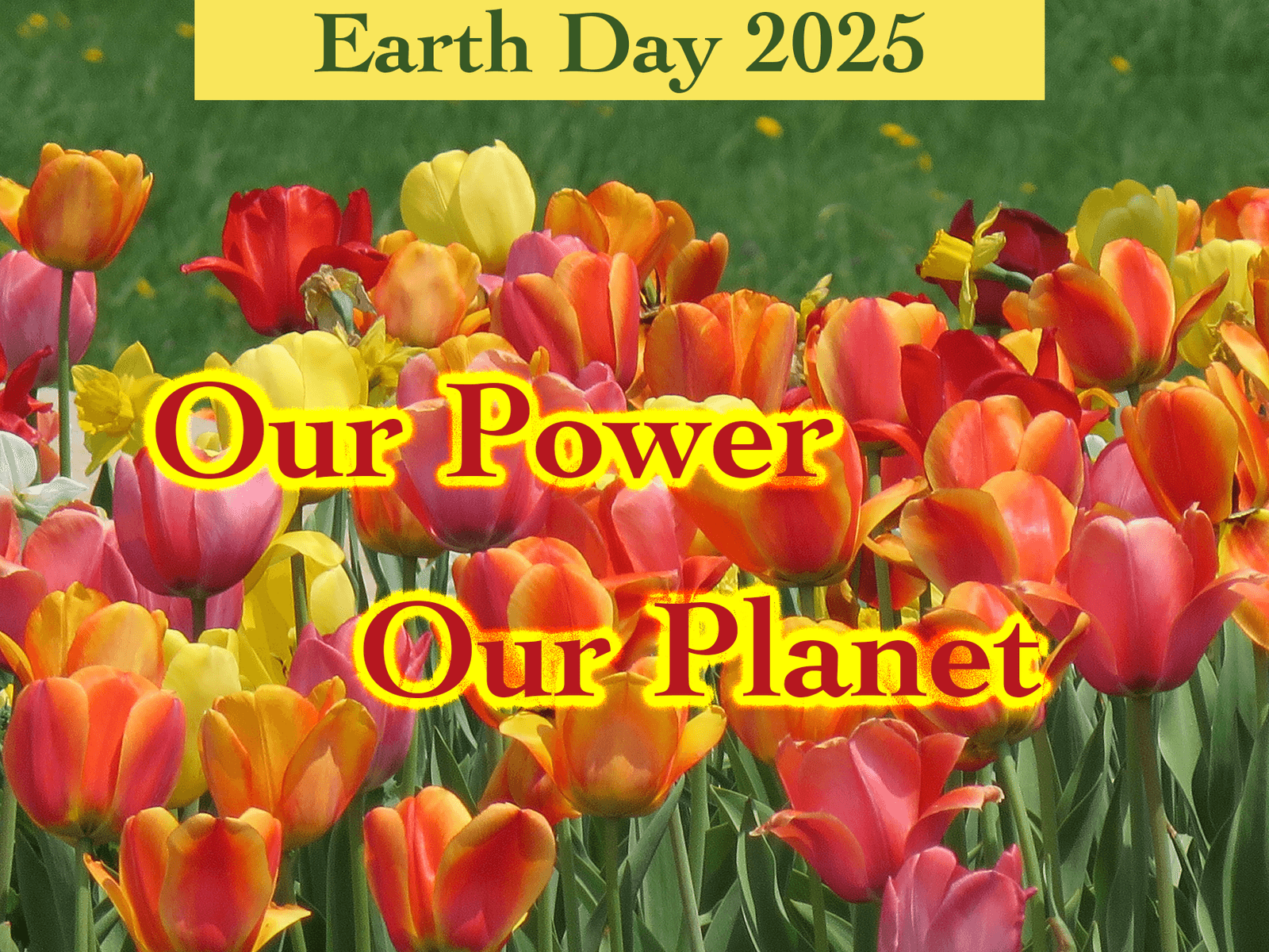 Earth Day 2025