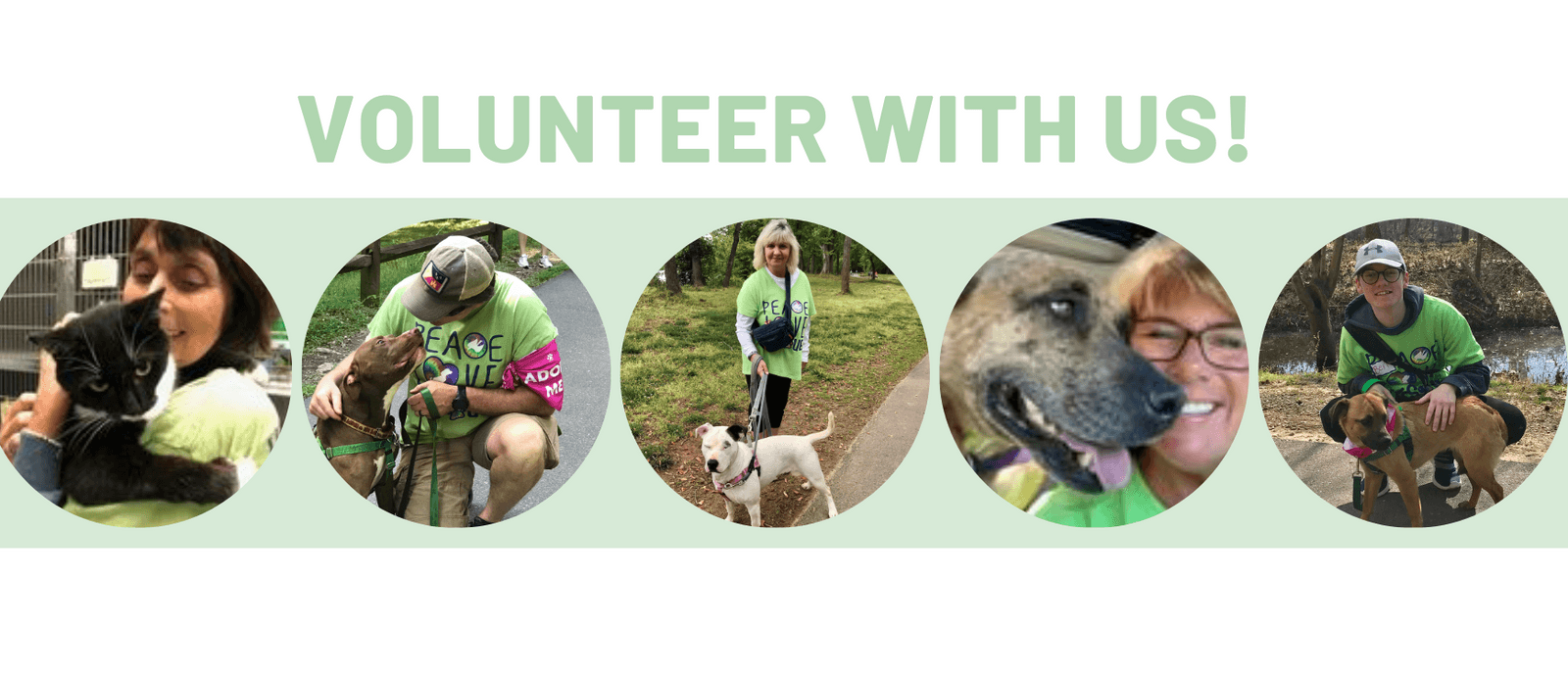 Home : Humane Society of York County