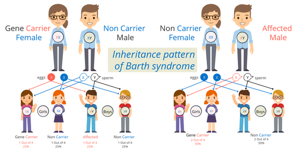 Barth syndrome genetics