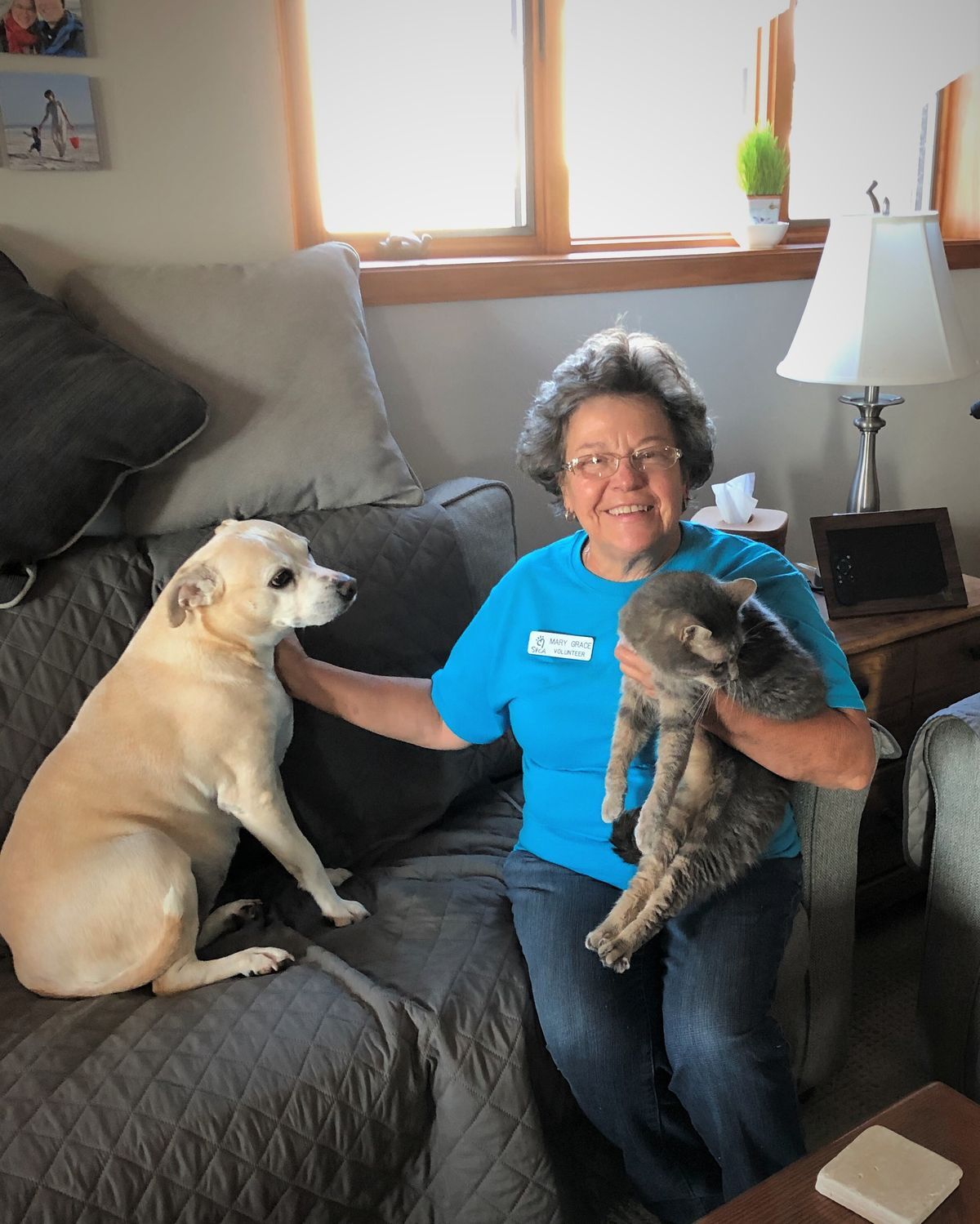 Home : York County SPCA