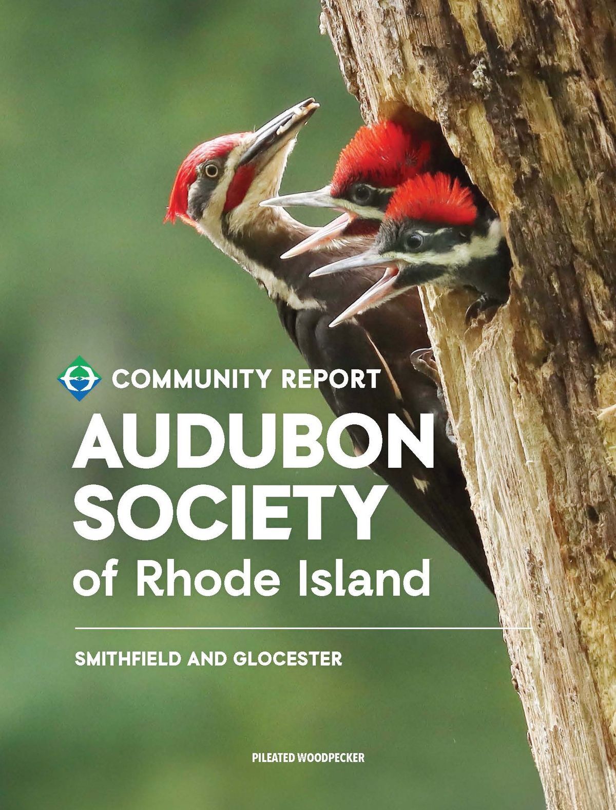 2023 Community Impact Reports | Audubon Society of Rhode Island