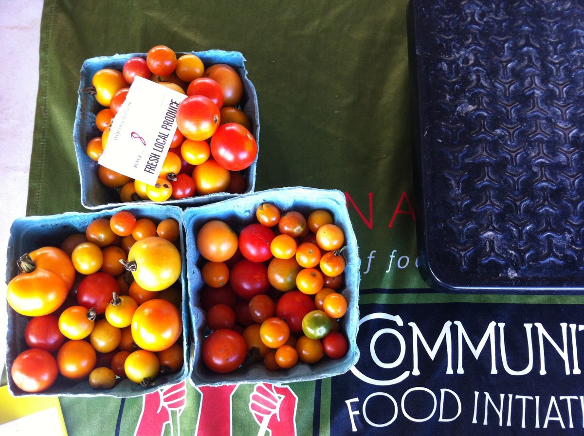 Community Food Initiatives