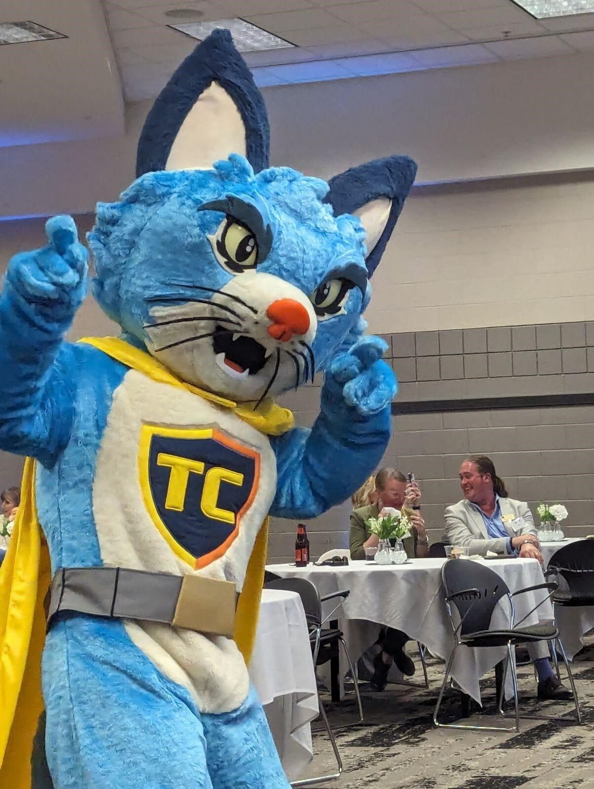 COTC unveils new mascot, T.C. the Cat : News : About Us : Newark Campus ...