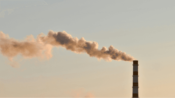 The Evangelical Environmental Network