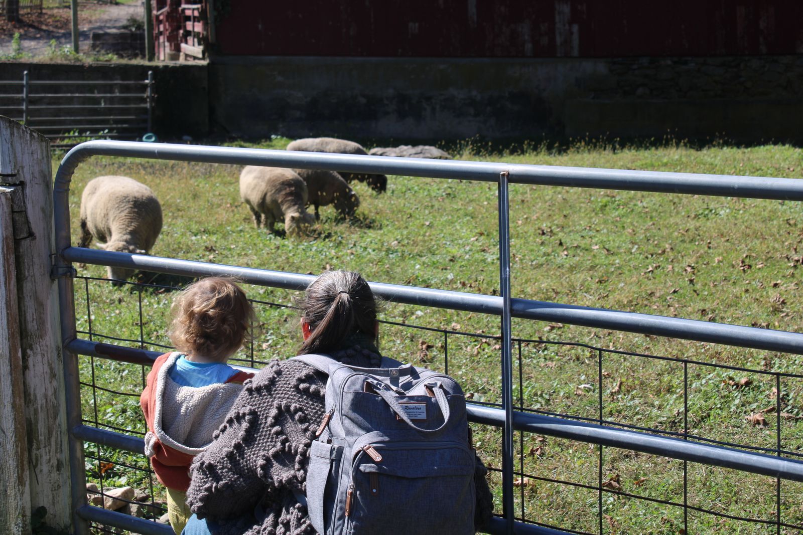 General Information : Visit Us : Muscoot Farm