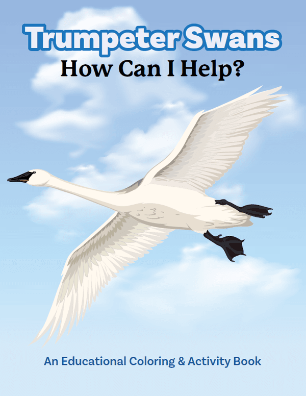 Swan Activity Books : Swan Information : The Trumpeter Swan Society