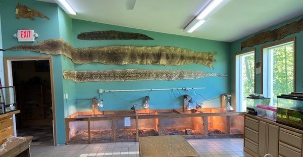 Raven Hill Home Page