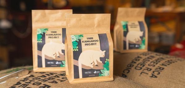 Tree Kangaroo Project