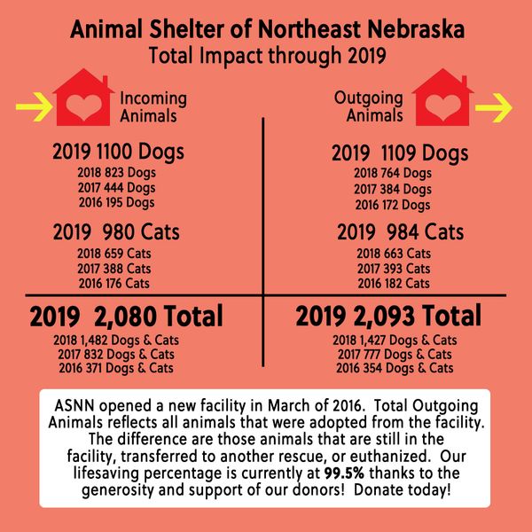 Overview : About Us : Animal Shelter of Northeast Nebraska