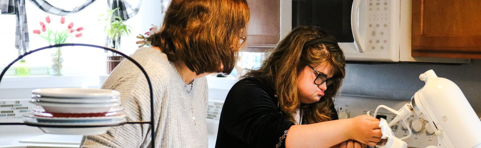 Developmental Services Center