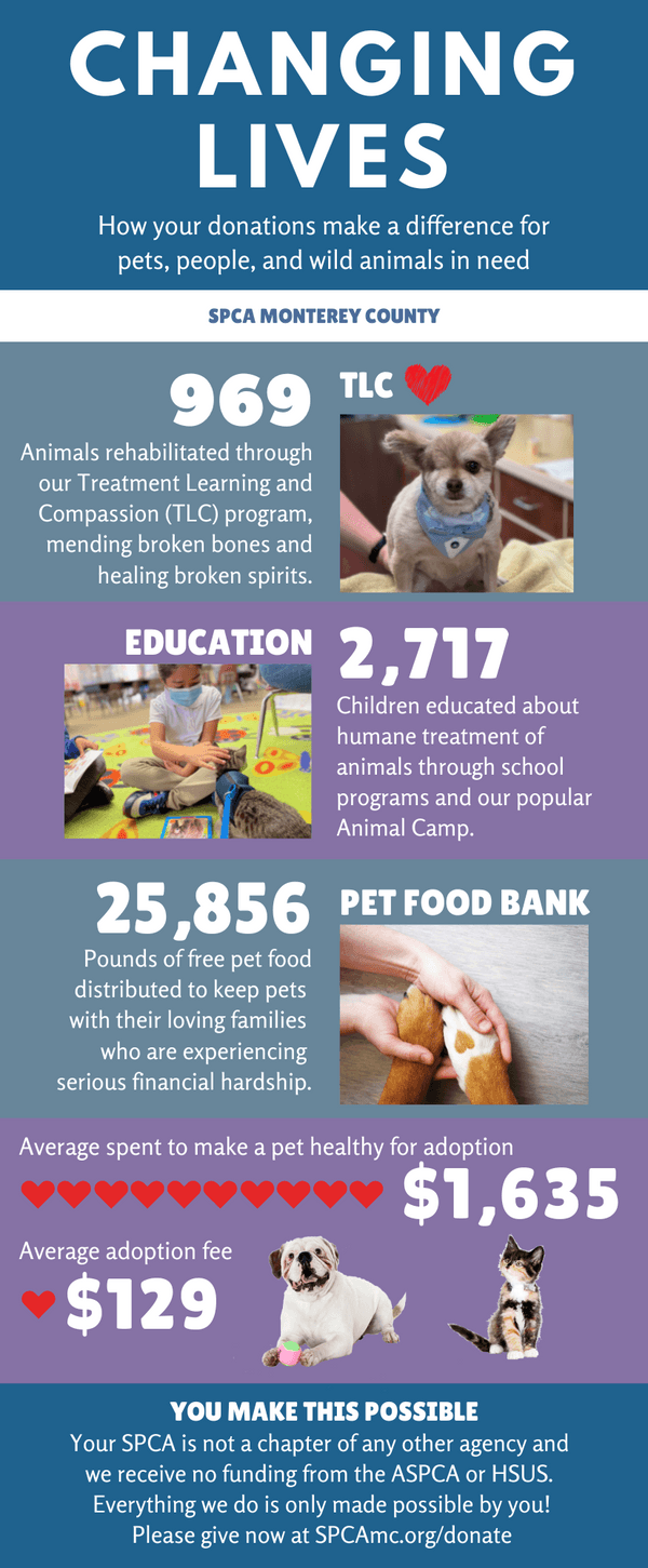SPCA Impact Report