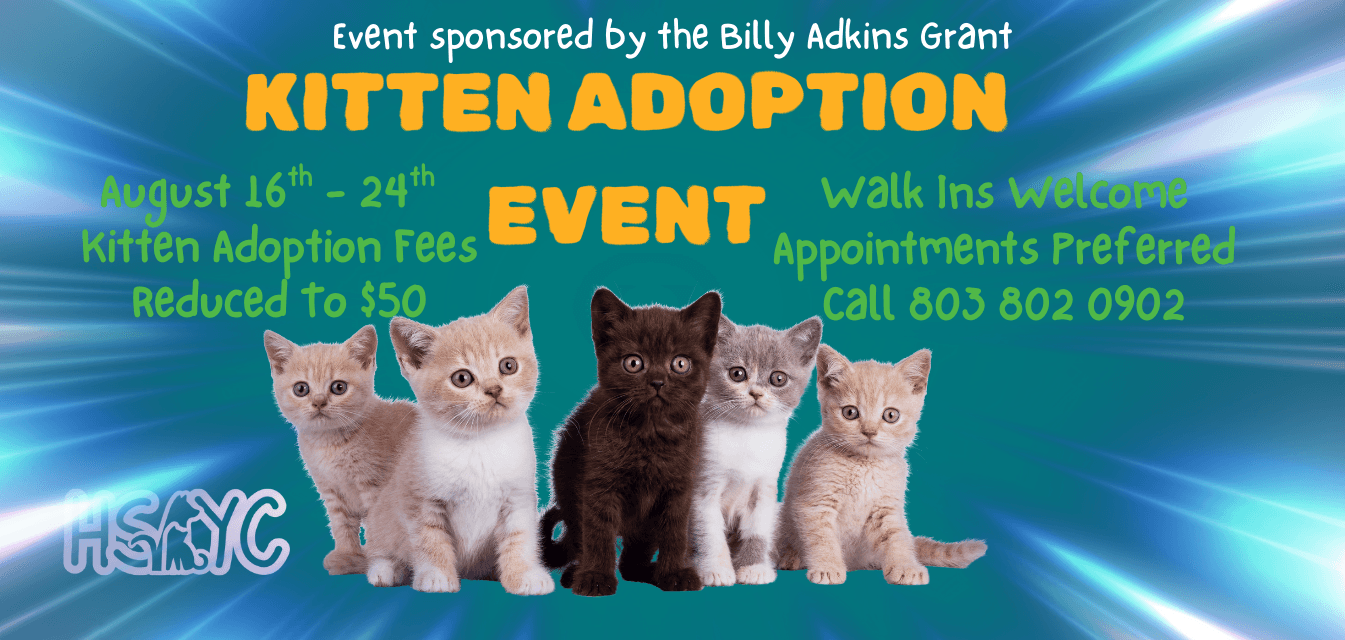 Home : Humane Society of York County