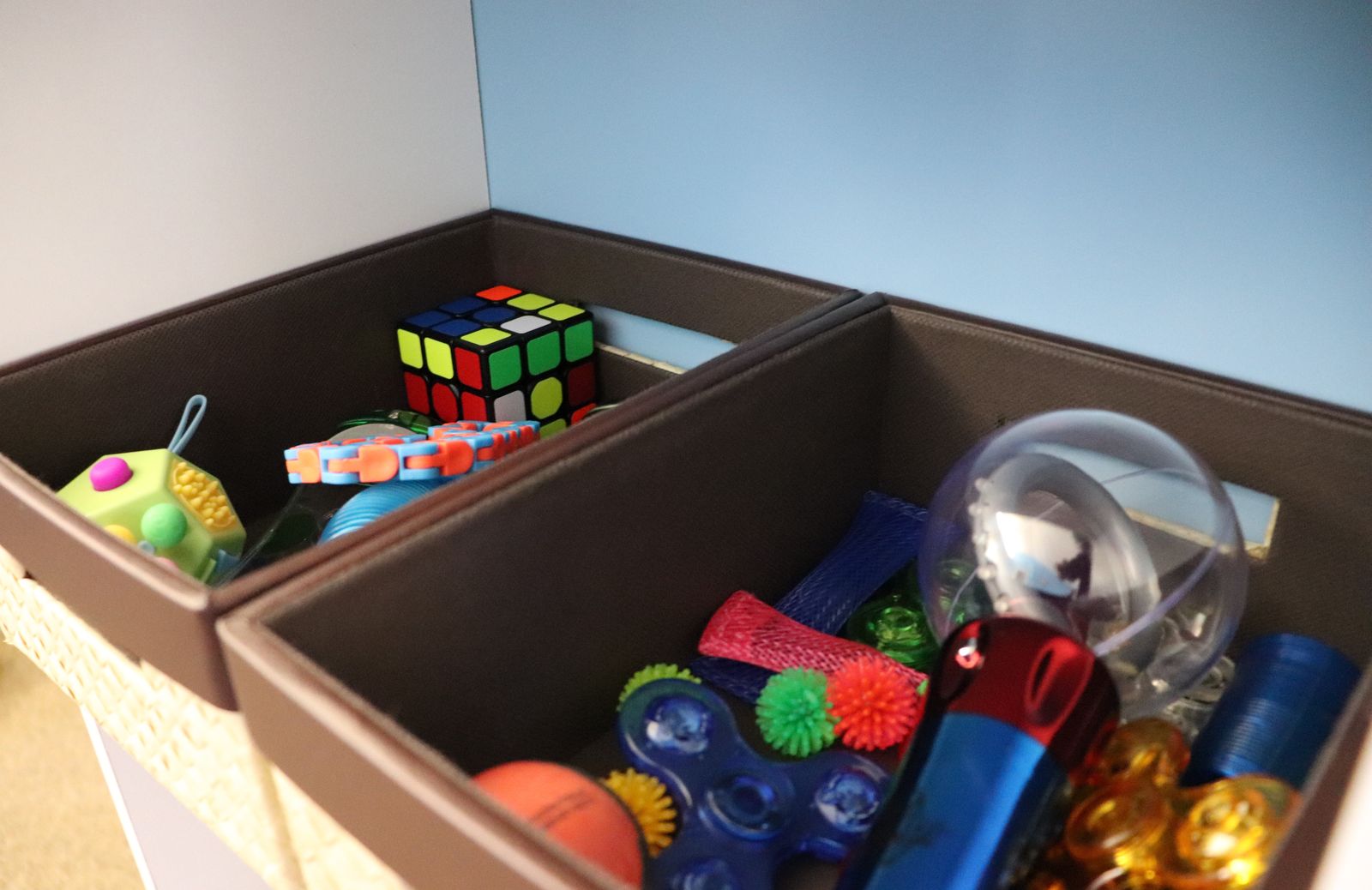 Resources : What We Do : The Genesis Project