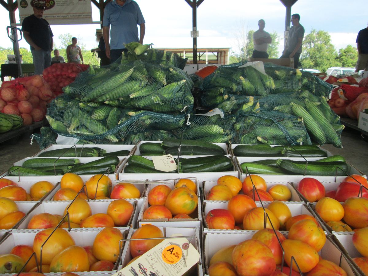 Community Food Initiatives