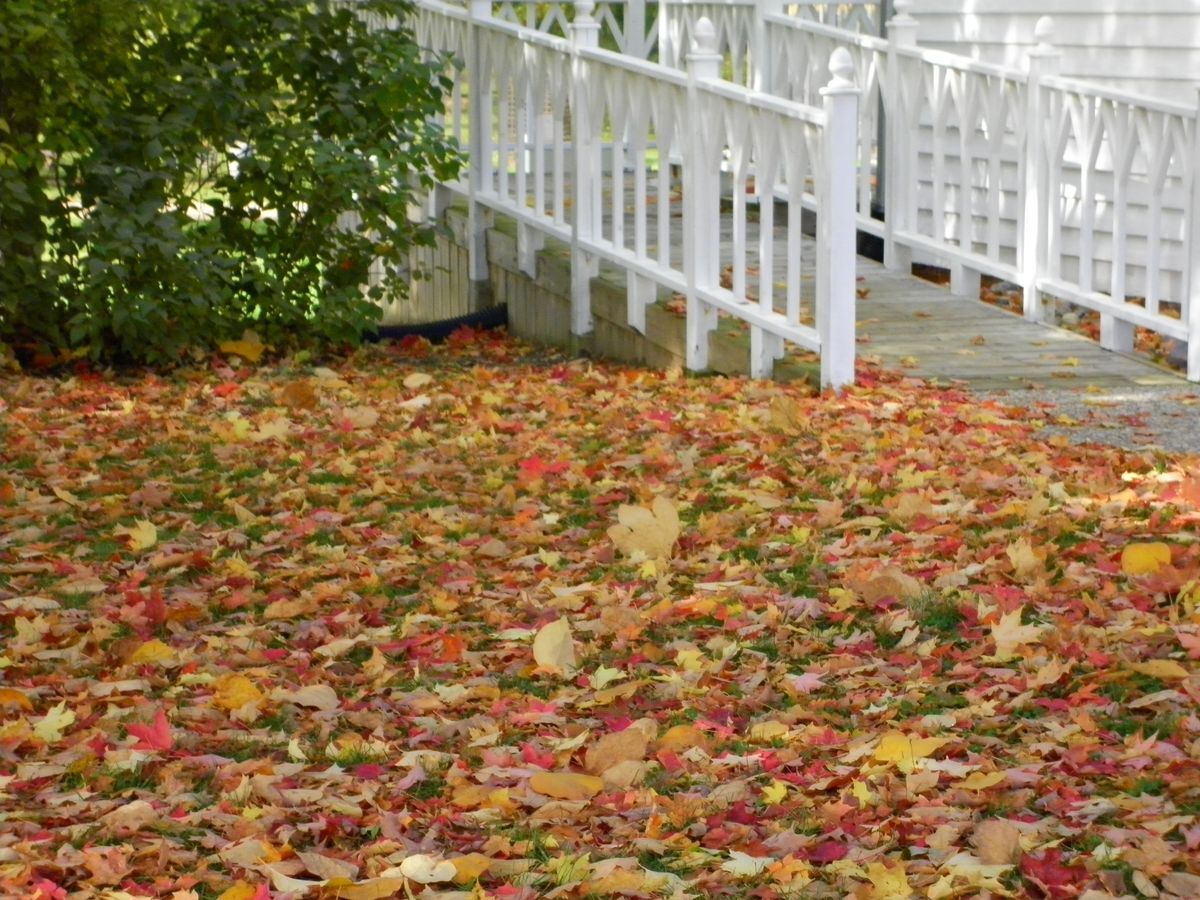 Historic Charlton Park | Hastings, Michigan | Village, Museum ...
