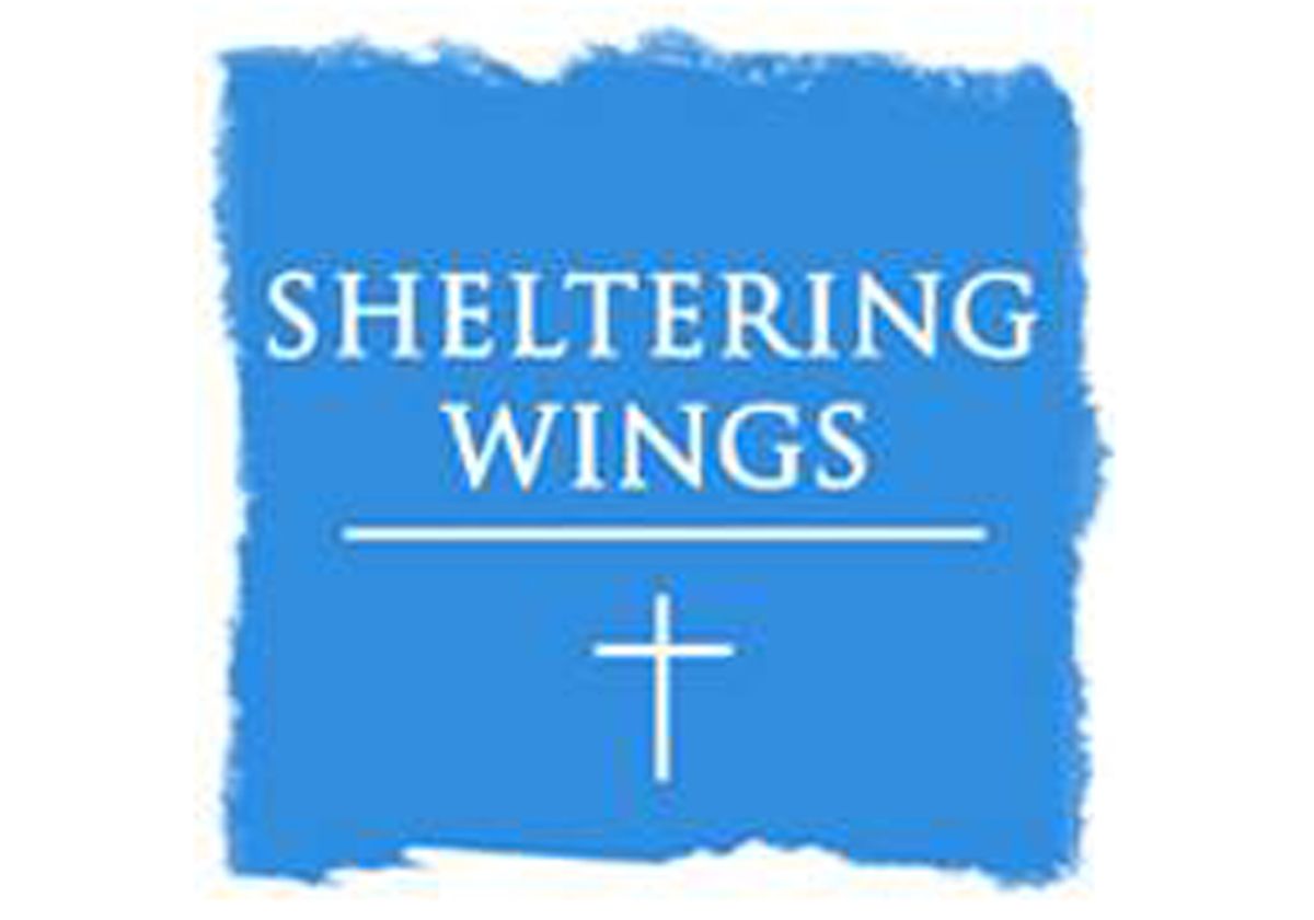 Sheltering Wings Receives HCCF Grant for Professional Development ...