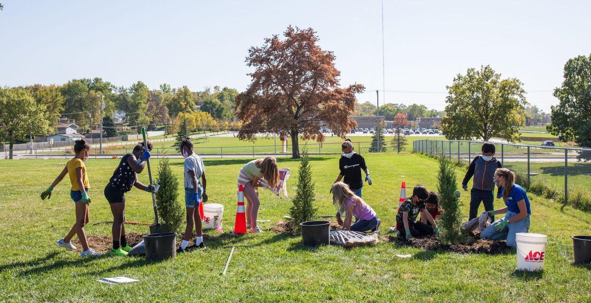 Trees for Tomorrow School Program