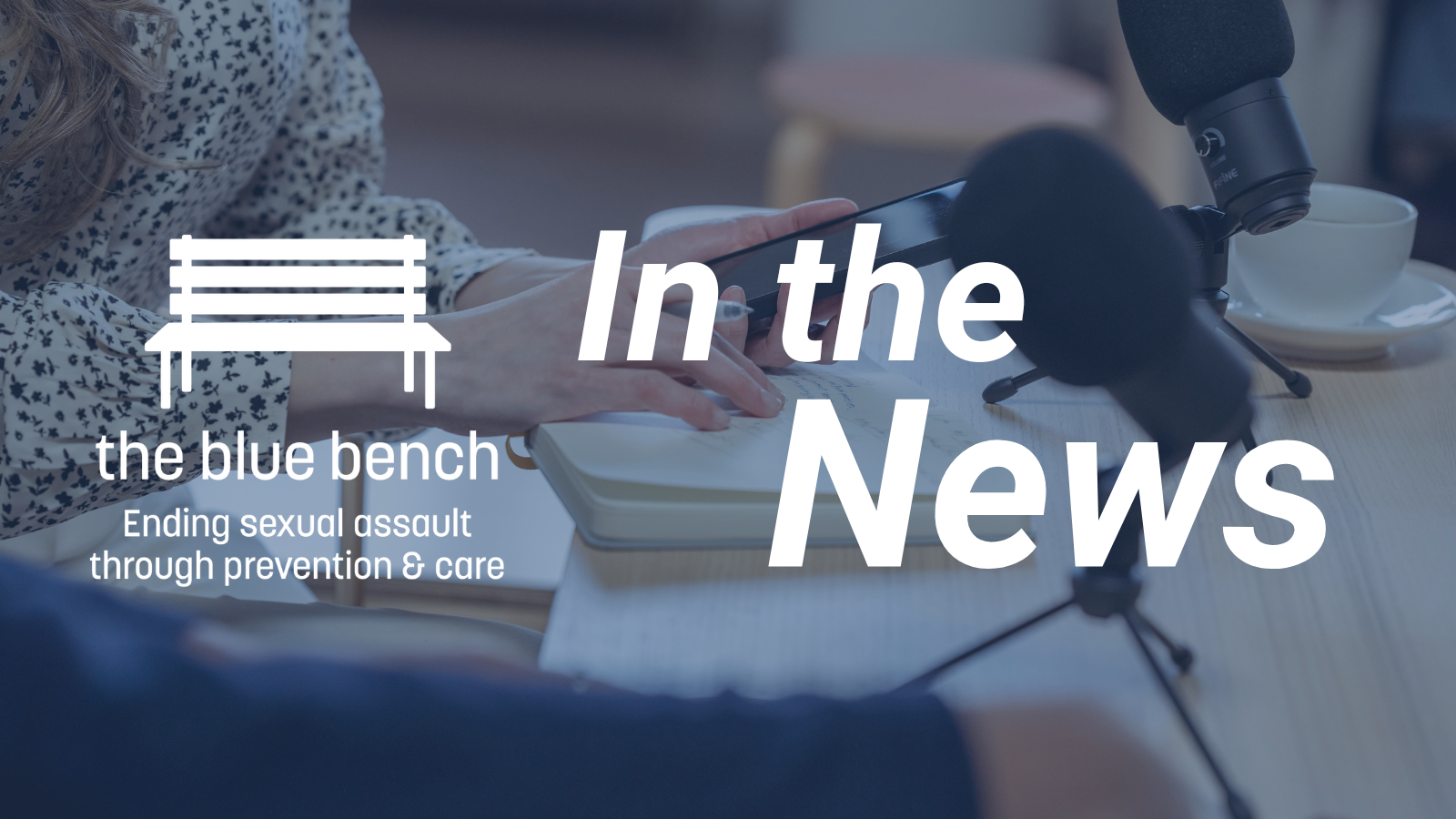 The Blue Bench Media Interviews