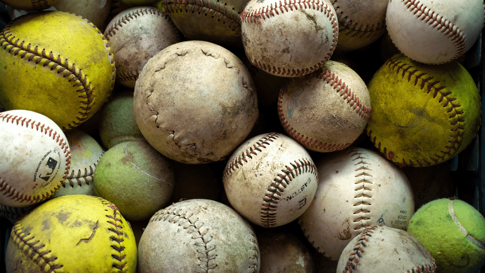 Home : The WAVE Athletics