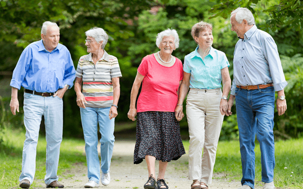 Area Agency on Aging