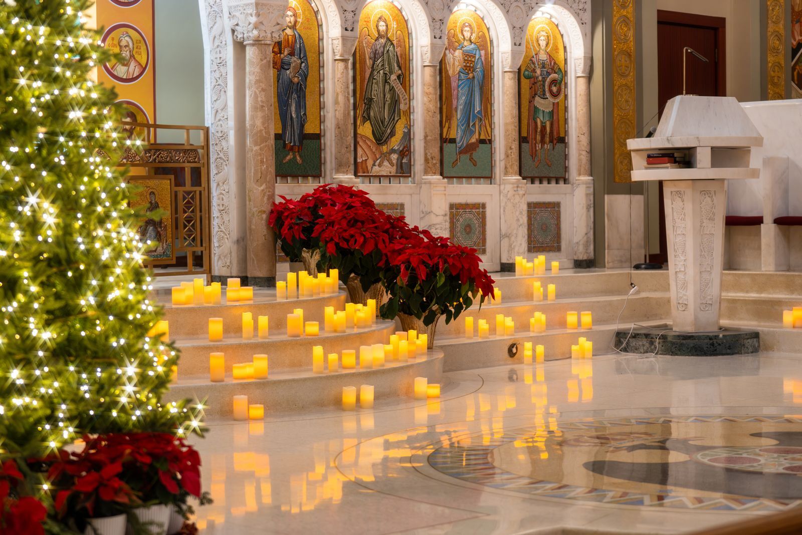 Home : Seraphic Fire