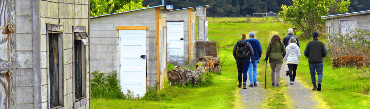 Pacific Rim Institute