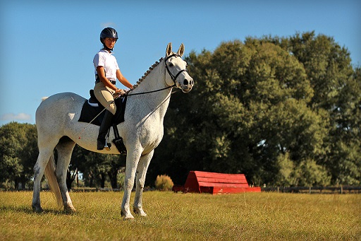 TDF's Carol Lavell Gifted Memorial Fund Awards $8,000 to Adult Amateurs ...