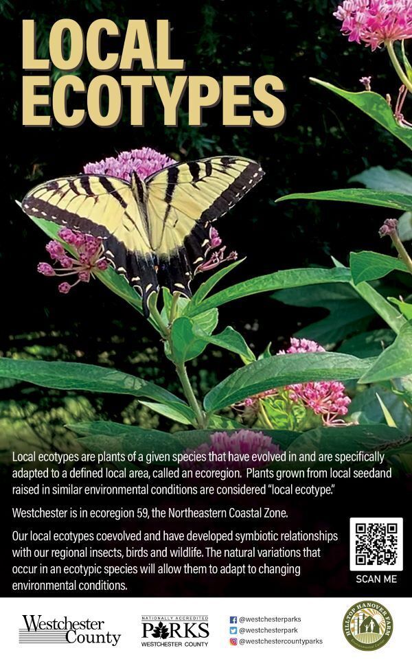 Native Plants Program : Native Plants Program : Programs : The Friends ...