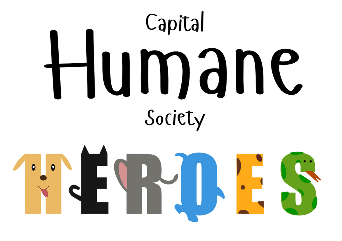 Capital Humane Society's first ever summer camp, Camp Humane Heroes!