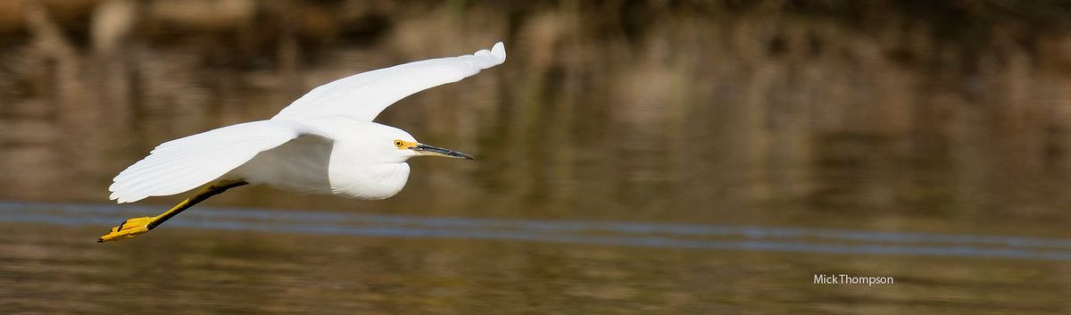 Home | Houston Audubon