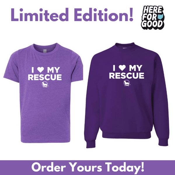 Home : Planned Pethood, Inc.