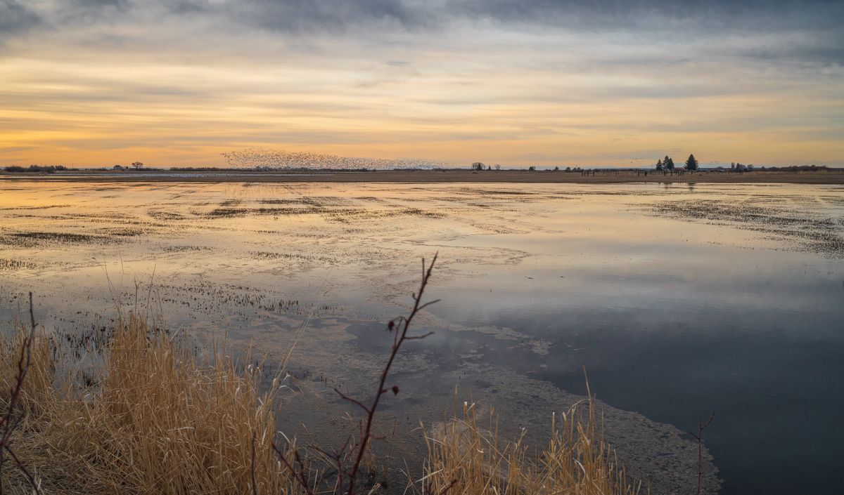 Vision + Goals : Harney Basin Wetlands Collaborative : Collaboratives ...