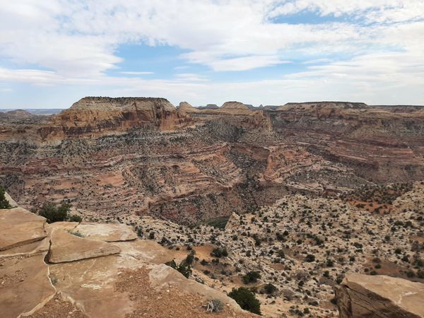 Home : Region 8 RPIC