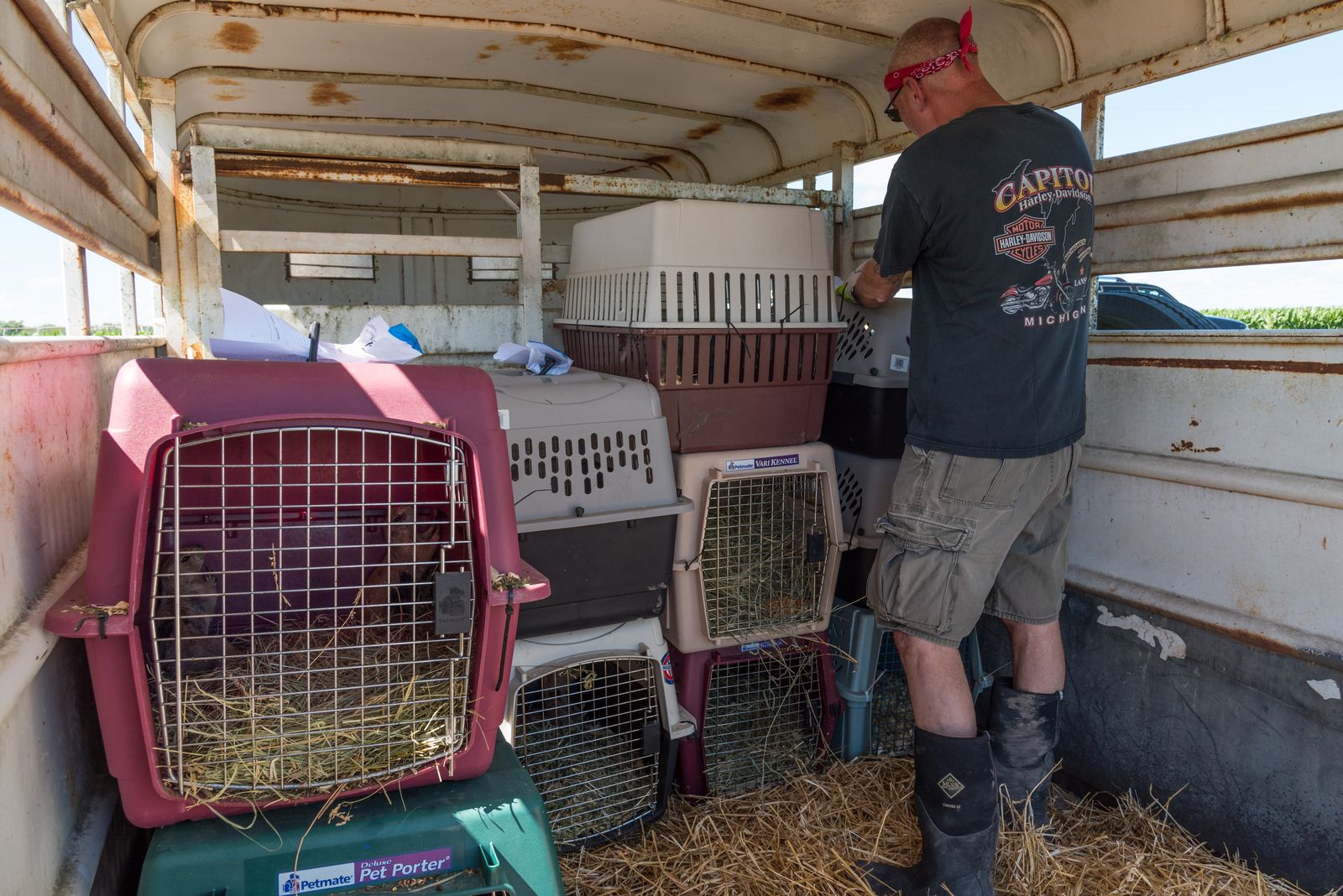 Prairie Dog Relocation Project : News & Events : Nebraska Wildlife ...