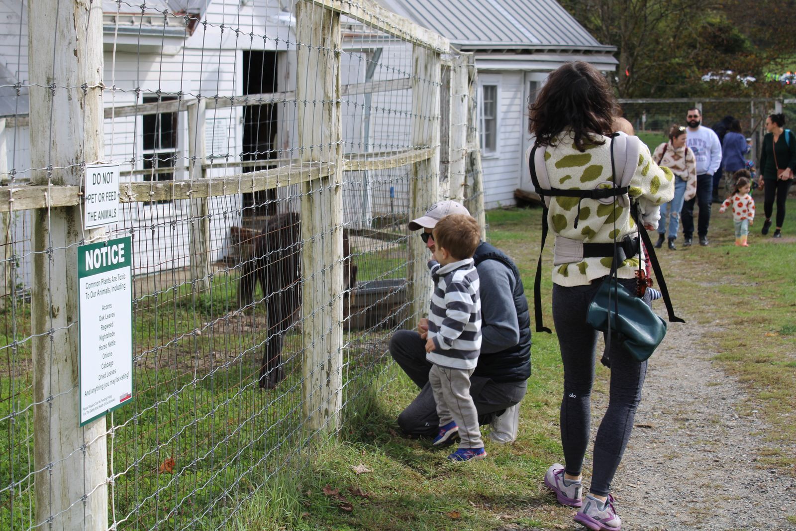 Group Visits : Group Visits : Visit Us : Muscoot Farm