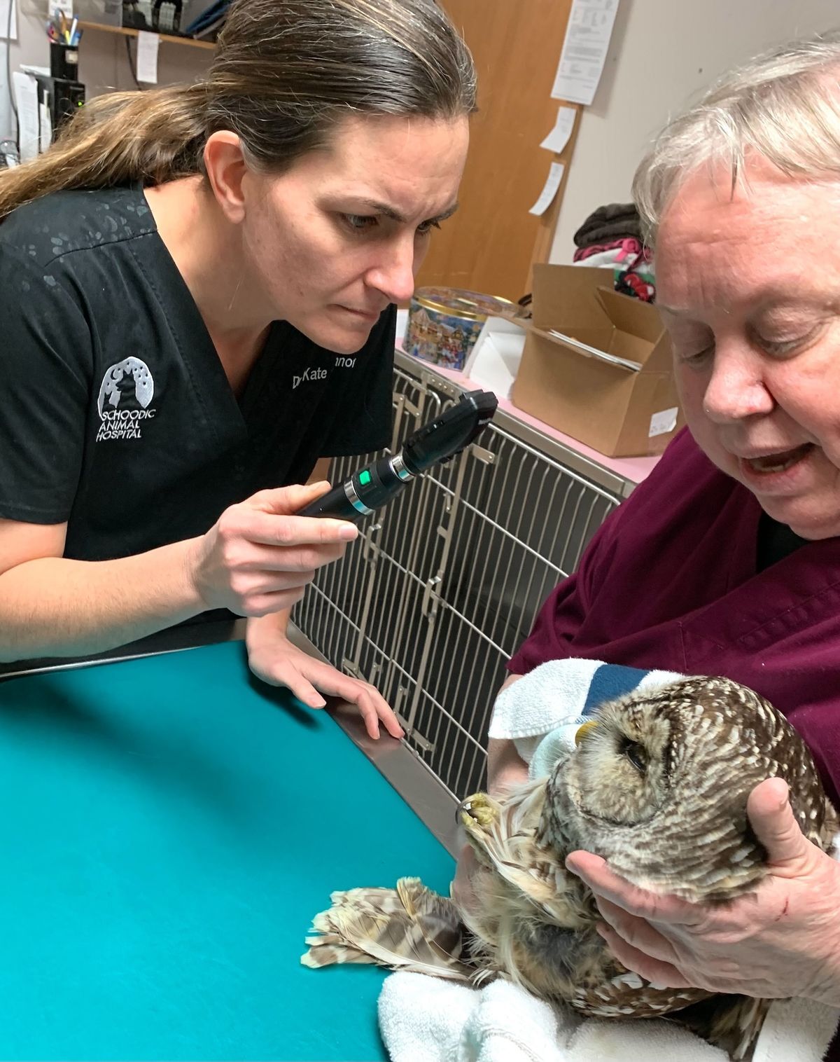 Our Team : About Us : Acadia Wildlife Center