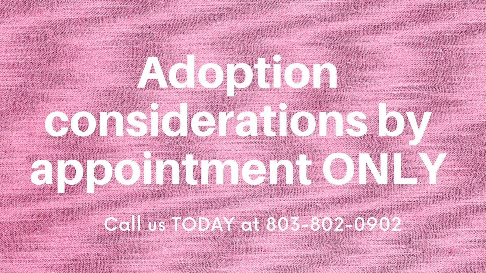 Humane Society of York County : Home