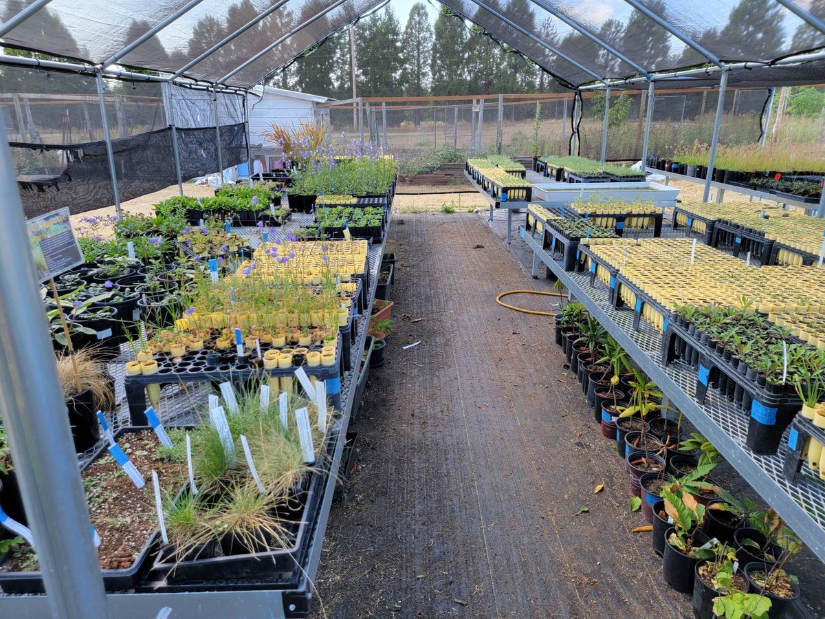 Native Plant Center : Living Laboratory : What We Do : Pacific Rim ...
