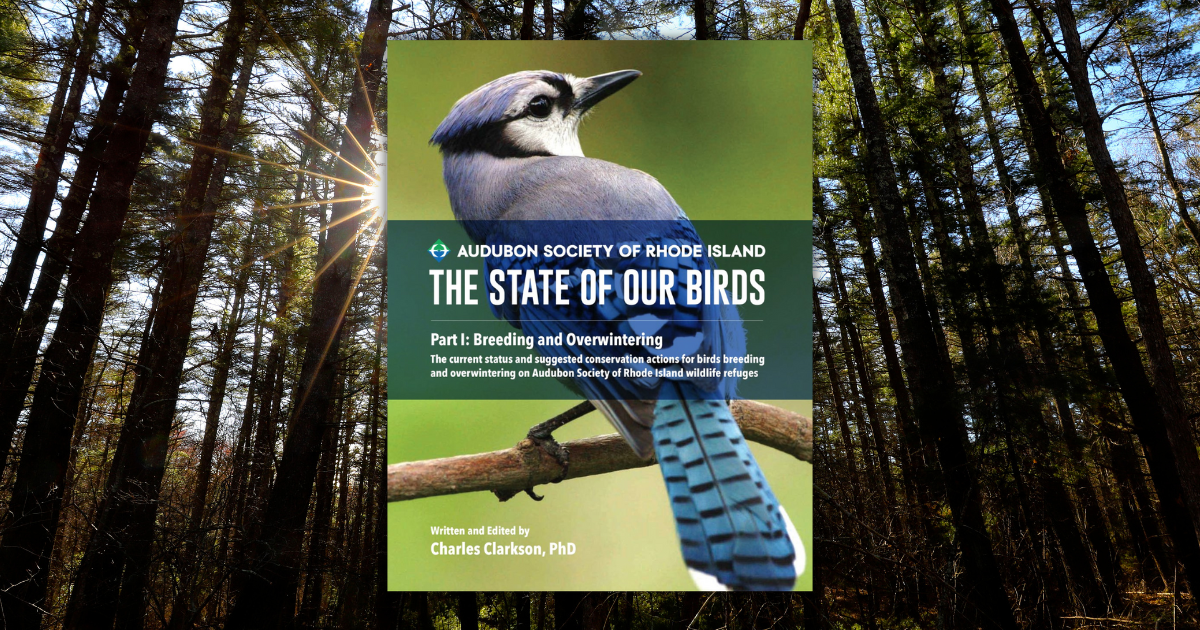 The State of Our Birds | Audubon Society of Rhode Island