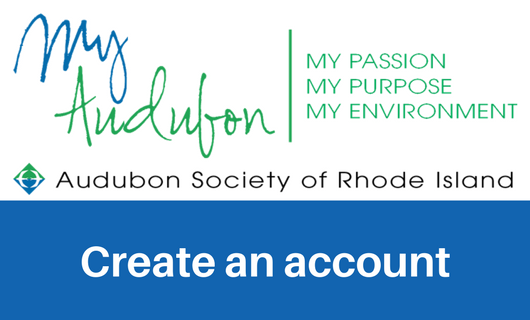 Audubon Society of Rhode Island | Connecting People with Nature
