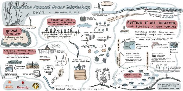 Invasive Annual Grass Workshop Resources : Harney County Wildfire ...