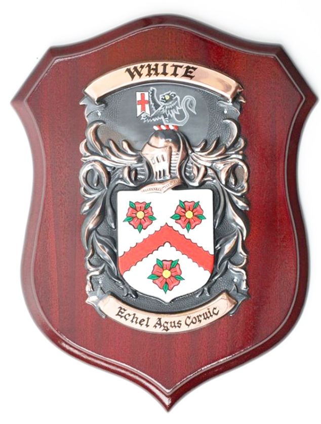 Carved 3-D Wood, Bronze, Brass, Silver or Painted Coat-of-Arms Plaques